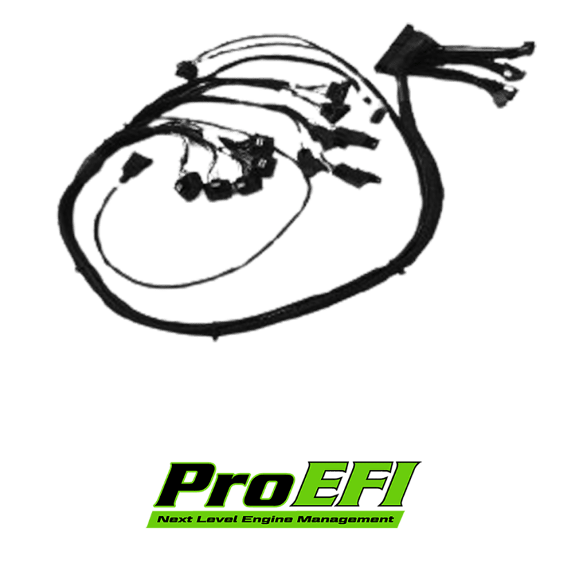 BMW E46 M3 Adapter Harness- Pro128 - ProEFI